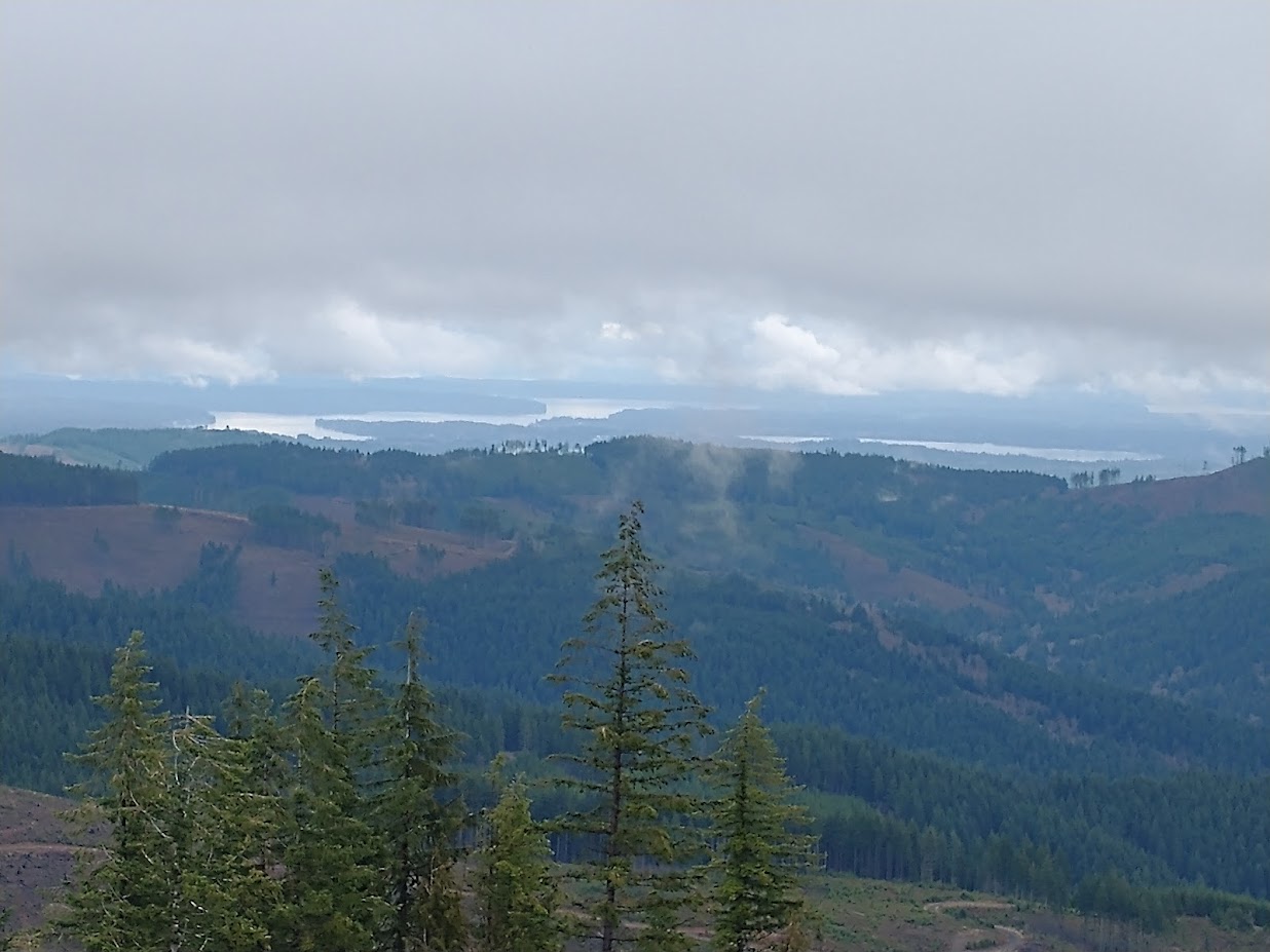 Capitol State Forest - Capitol Peak — Washington Trails Association